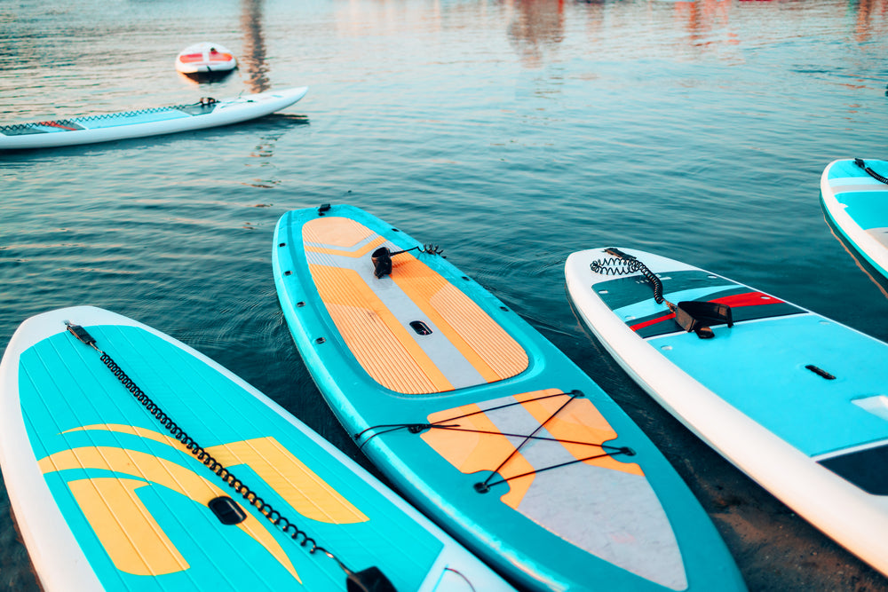 A Guide To Different Types Of Paddle Boards – Dax Board Company